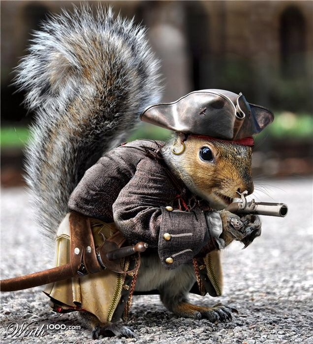 Combat squirrels