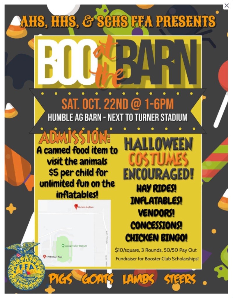 Boo at the Barn