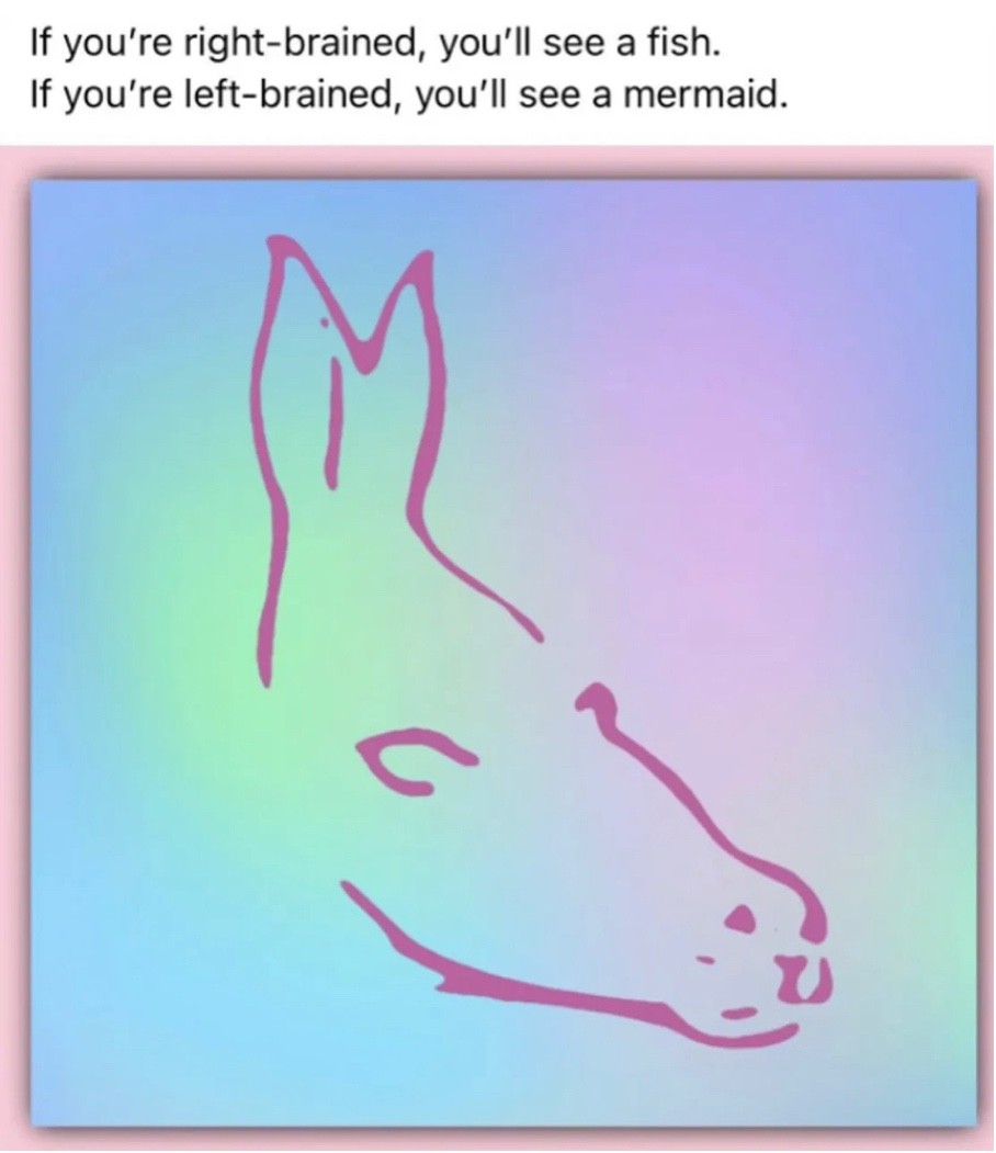 A 'mermaid' optical illusion is leaving people very confused