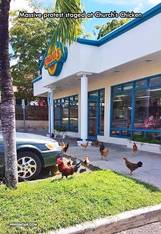 Protest Outside Church's Chicken.