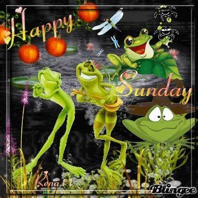 Sunday frog