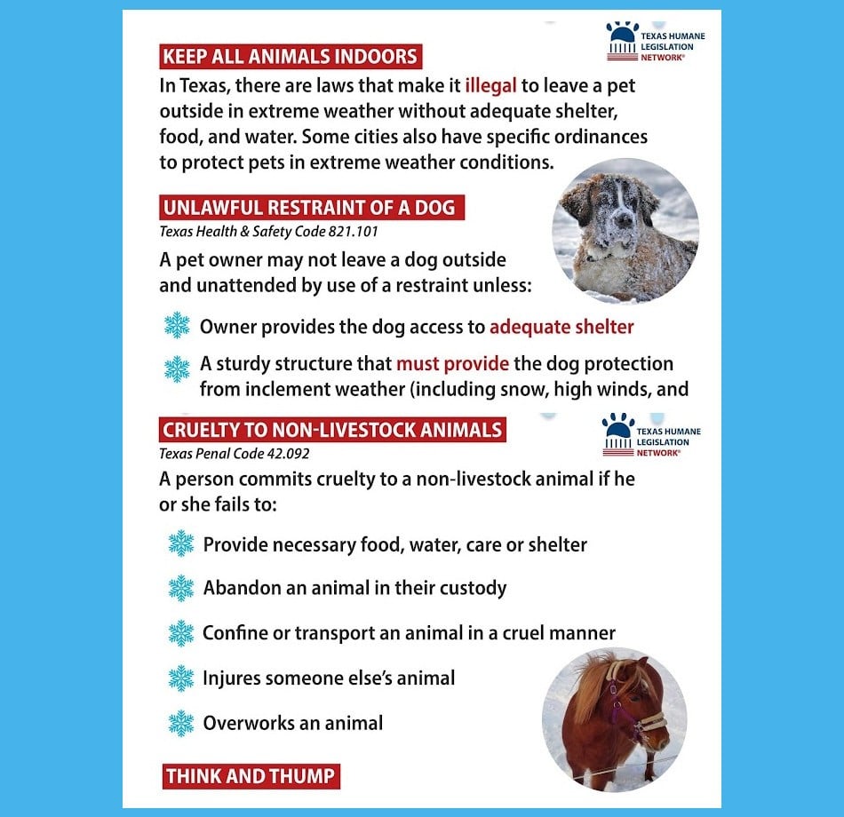 Reminder from Montgomery County Animal Shelter About Animal Safe