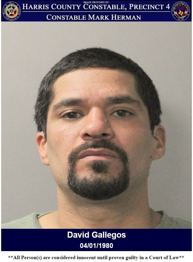 Constables Arrest Male Suspect for Criminal Mischief