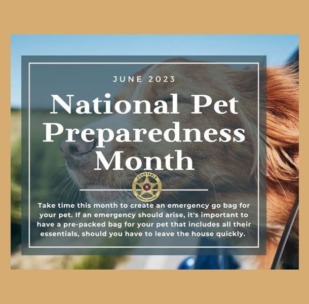 Tips of National Pet Preparedness Month