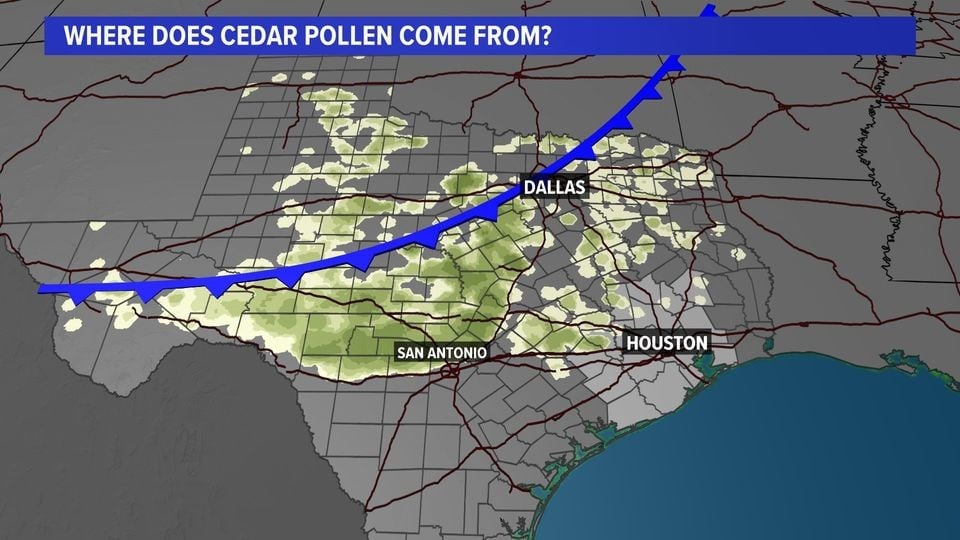 Allergy alert: Cedar pollen surge expected to hit Houston soon