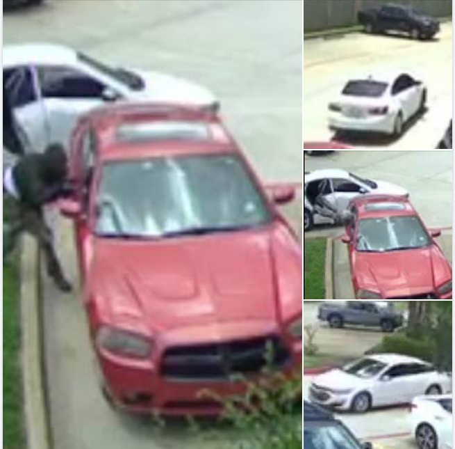 Witnesses Sought for Bank Jugging Incident in Humble, Texas